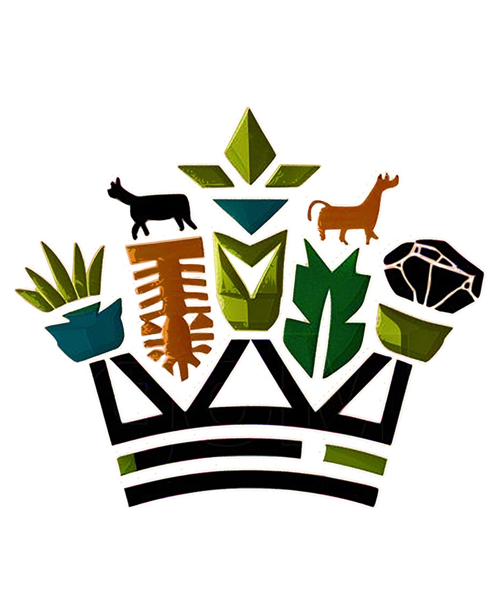 PANDISHO - Riqueza Peruana