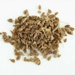 ANIS - Riqueza Peruana